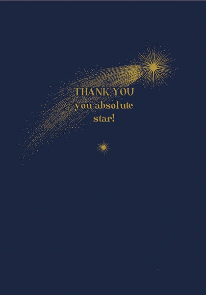 Absolute Star Thank You Card | Thank You Cards | The Gifted Type