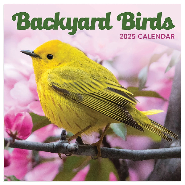 2025 Backyard Birds Mini Calendar | 2025 Calendars | The Gifted Type