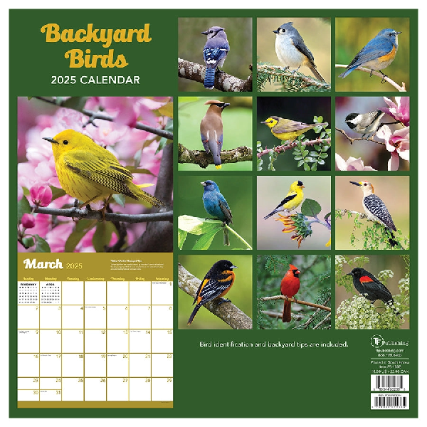 2025 Backyard Birds Mini Calendar | 2025 Calendars | The Gifted Type