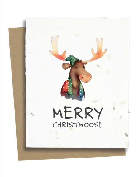 Merry Christmoose Plantable Holiday Card | Holiday Cards | The Gifted Type