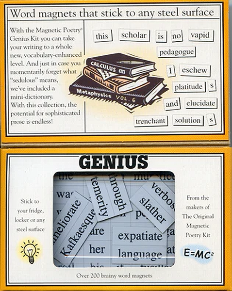 Genius Magnetic Poetry Kit | Magnetic Poetry | The Gifted Type