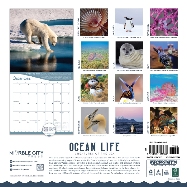 Ocean Life | 2025 Wall Calendars | The Gifted Type